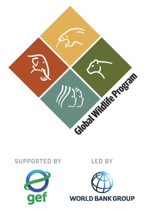 Global Initiatives - Illegal Wildlife Trade Projects: Combating the ...